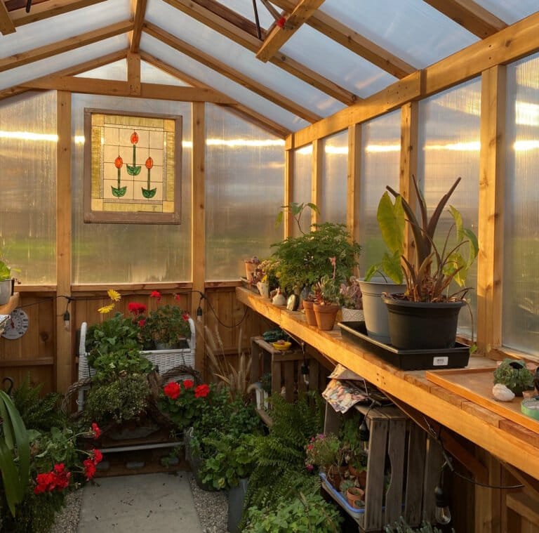 Enhance Your Garden with a Cedar Greenhouse Kit