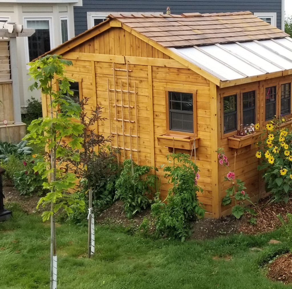 Sunshed Garden Shed 12'x12' - Outdoor Living Today