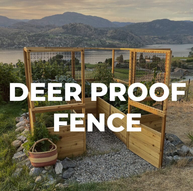 Protect Your Garden with a Deer Proof Fence Add-On