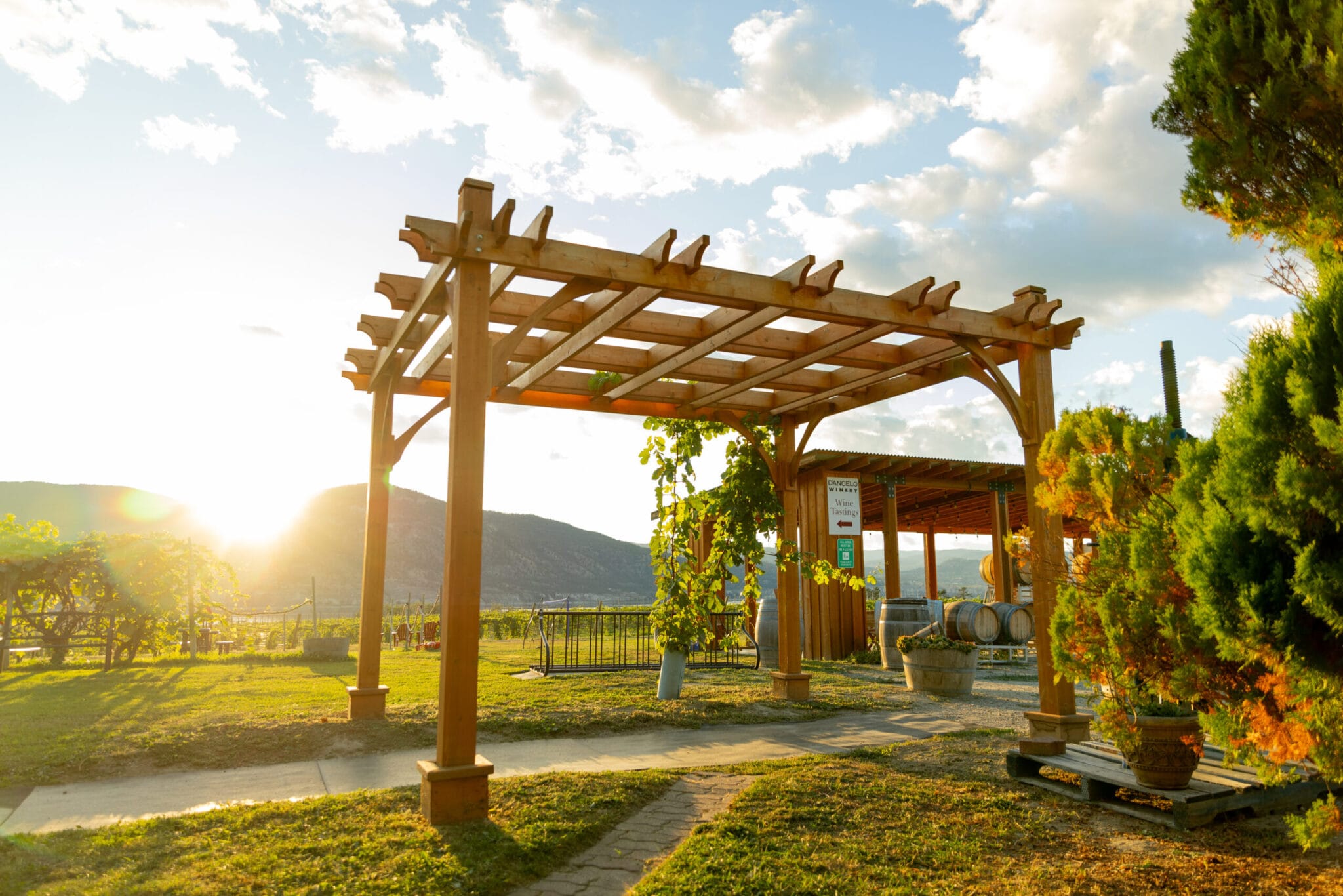 Stain a Cedar Pergola for Lasting Beauty and Protection