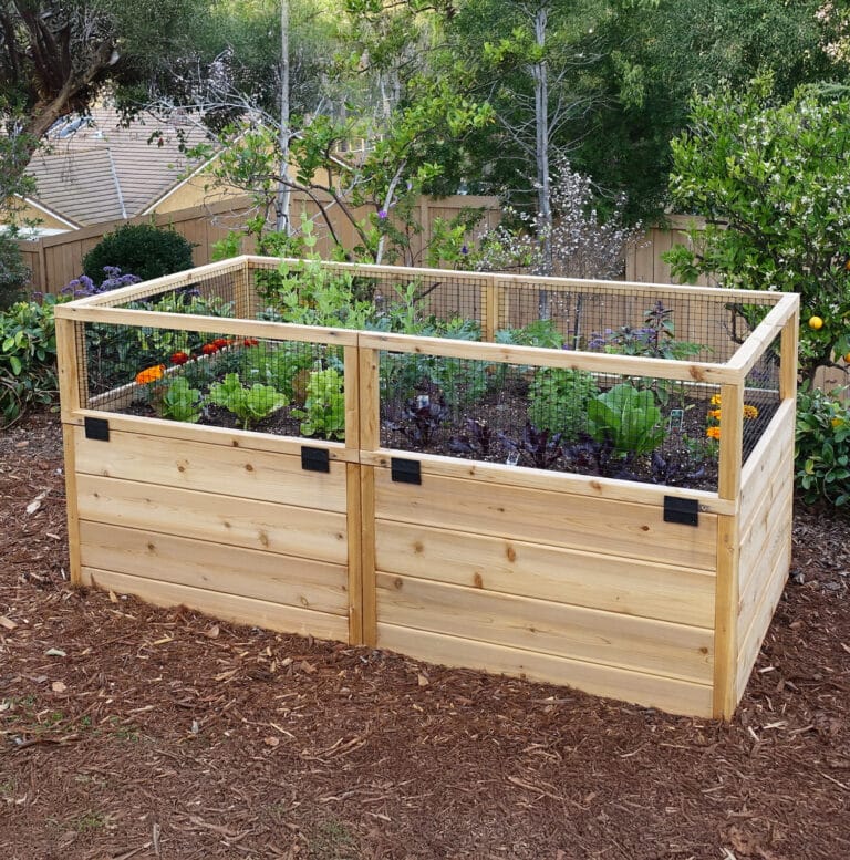 Enhance Your Backyard with a 6x3 Garden Bed