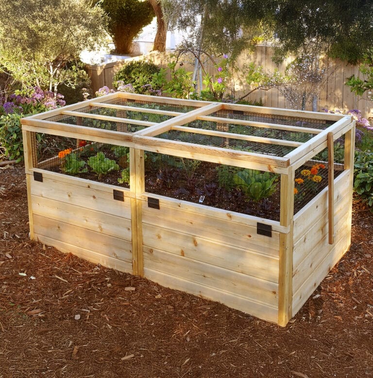 Enhance Your Backyard with a 6x3 Garden Bed
